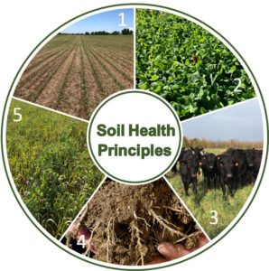 Conservation Agriculture - Between the Lakes